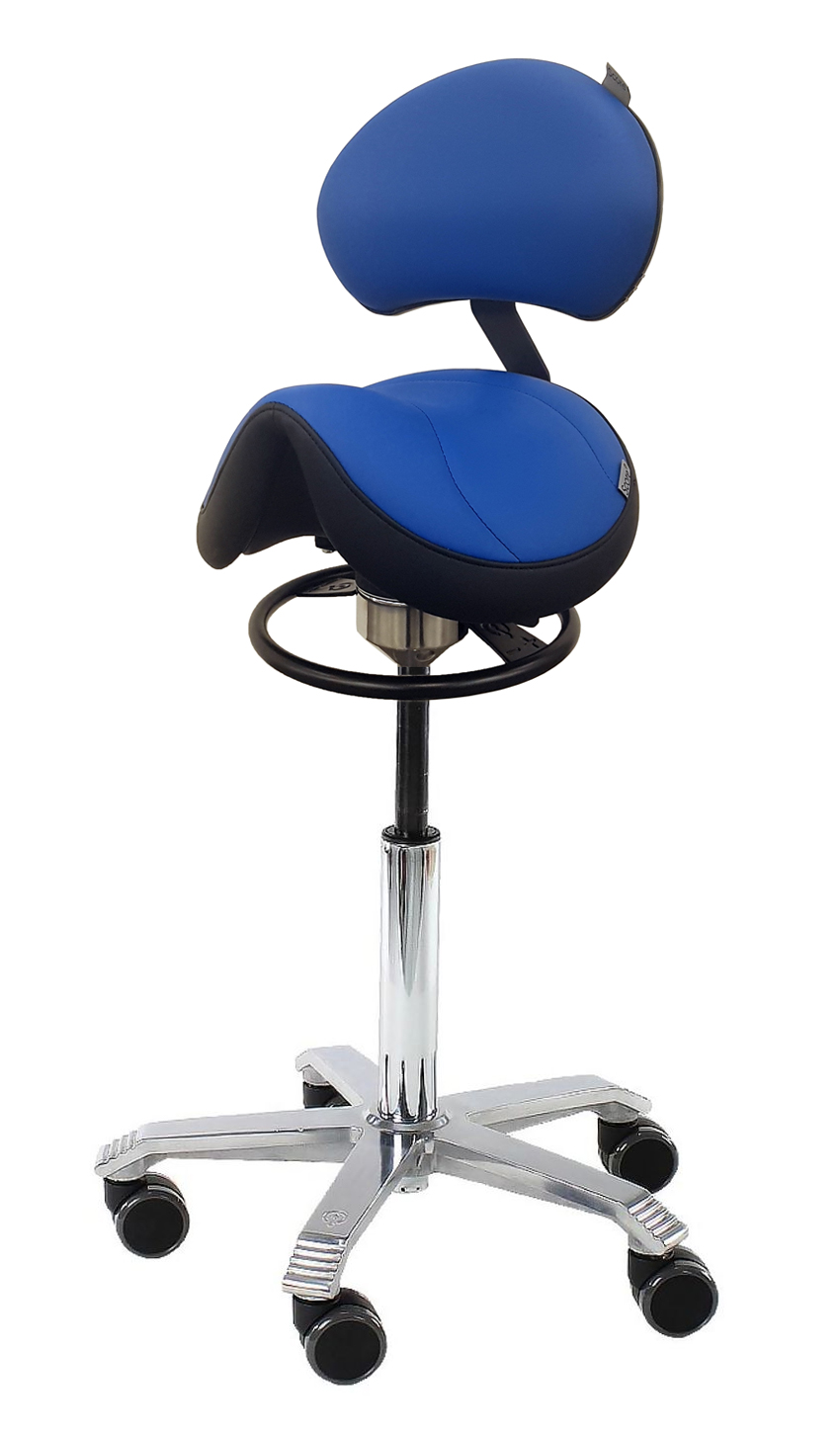 Amazone Balance with Adjustable Lumbar Support by Score : ErgoCanada ...