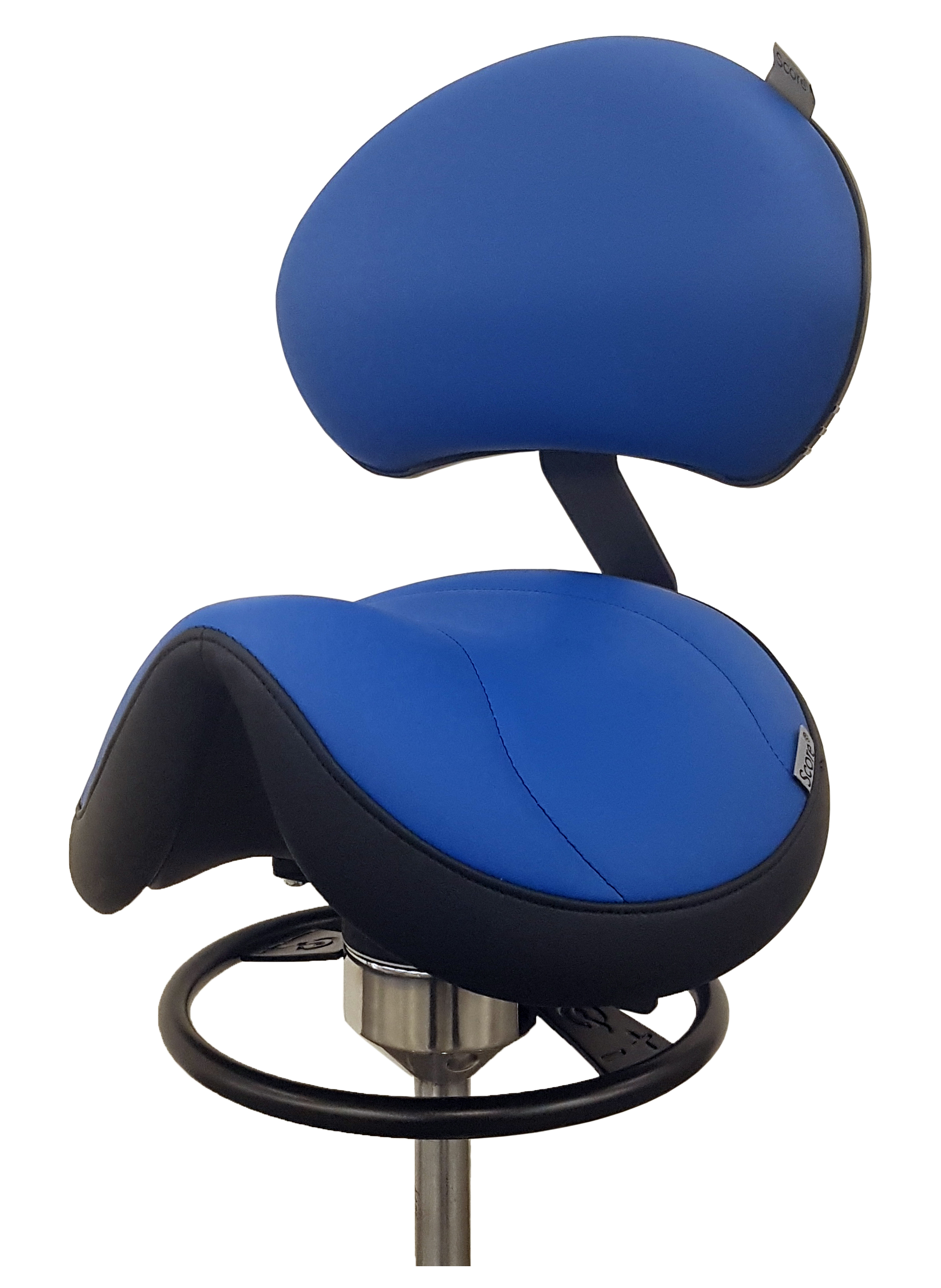 Amazone Balance with Adjustable Lumbar Support by Score : ErgoCanada ...