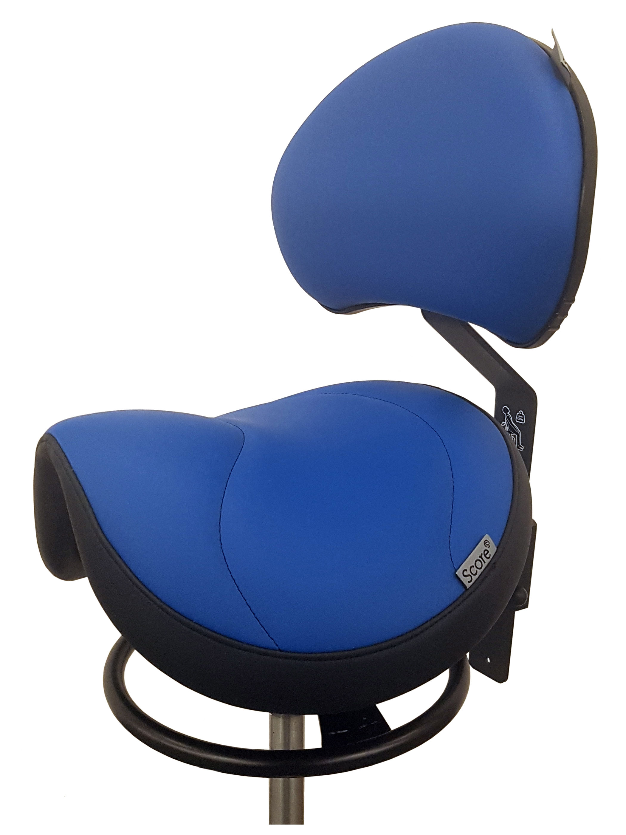 Amazone Balance with Adjustable Lumbar Support by Score : ErgoCanada ...