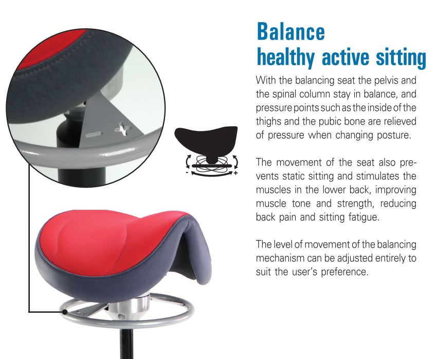Amazone Balance with Adjustable Lumbar Support by Score : ErgoCanada ...